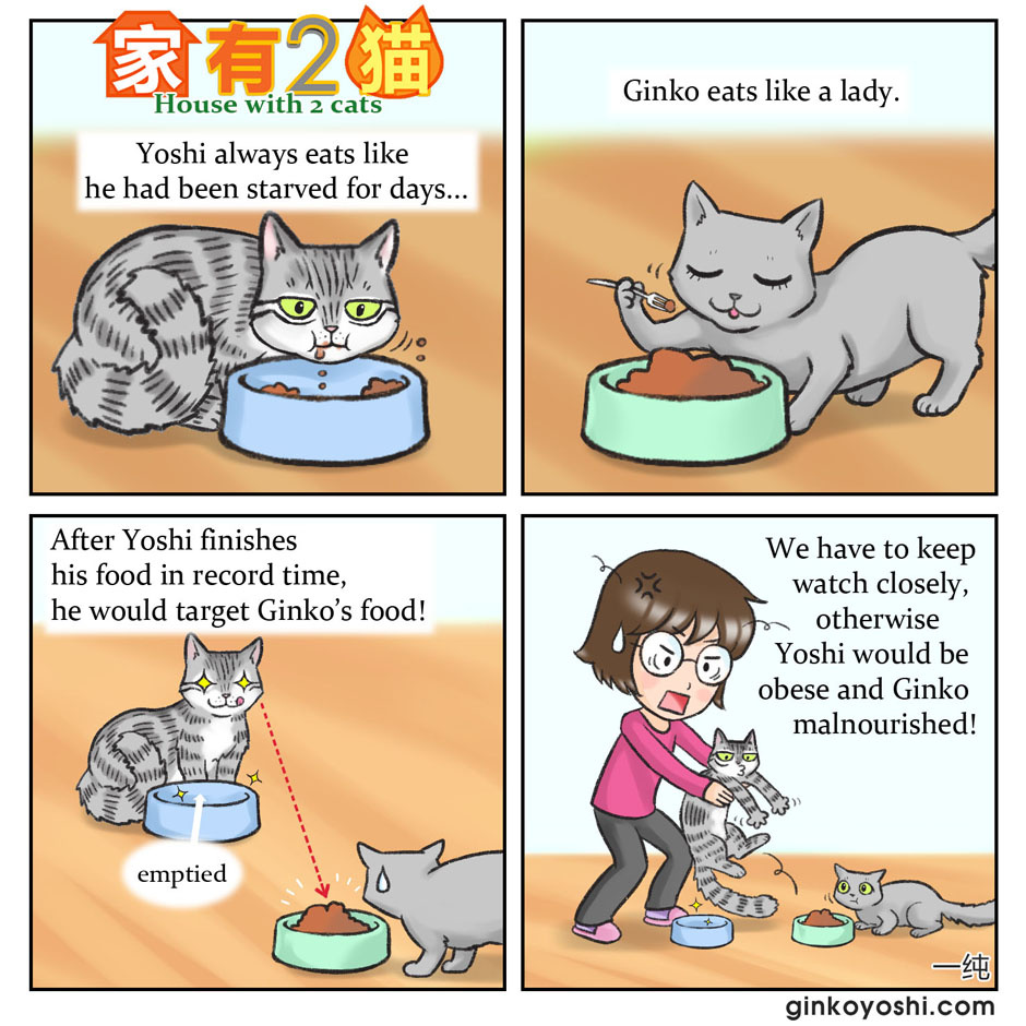 Read House with 2 cats :: Gluttony | Tapas Comics