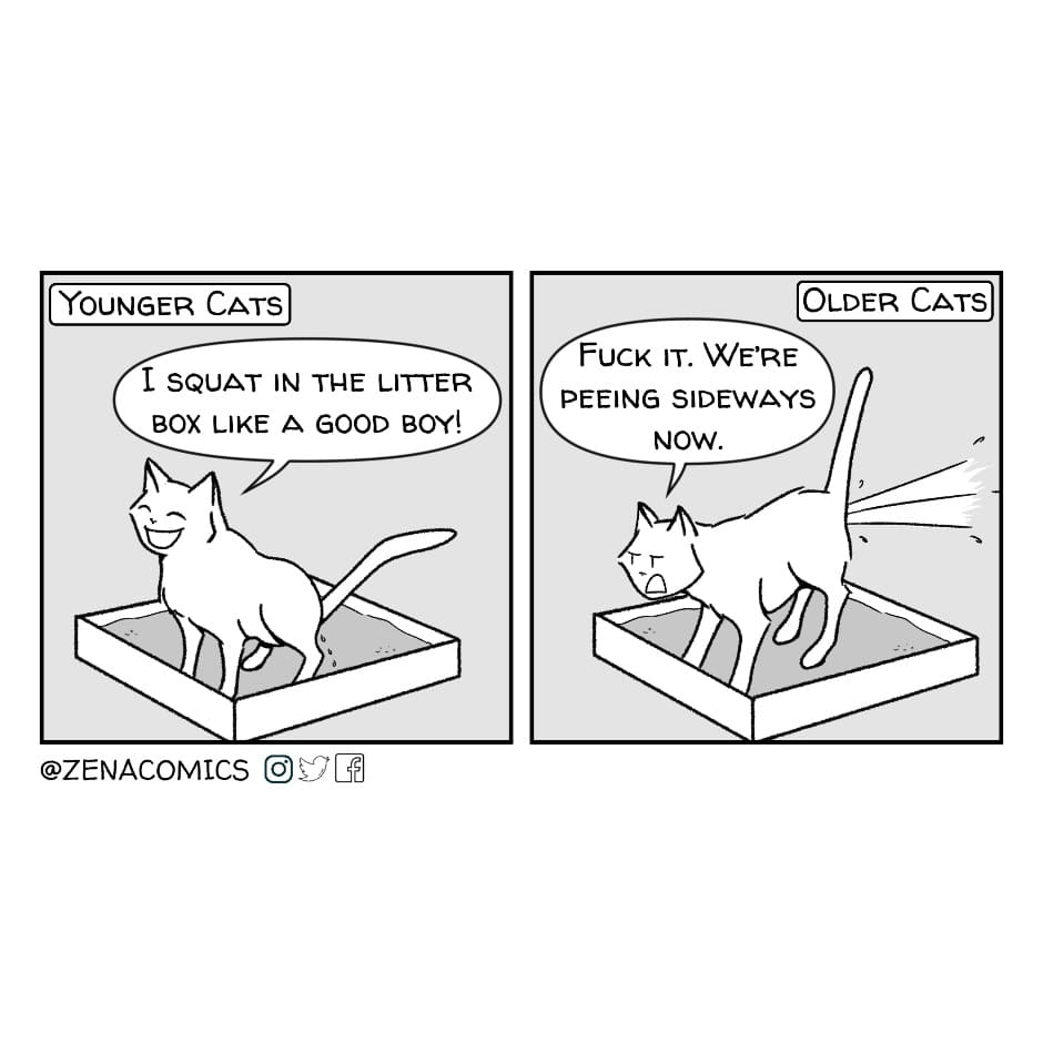 Read Zena Comics :: Old Cat Energy | Tapas Comics