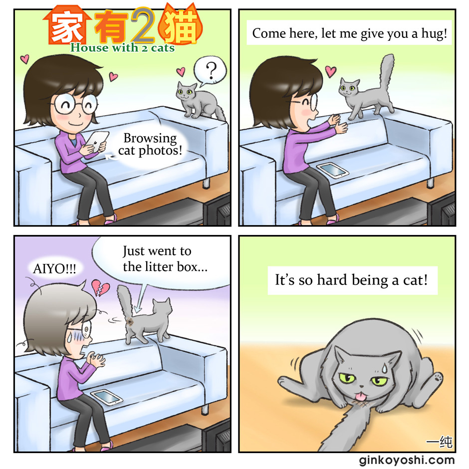 Read House with 2 cats :: Love Hate relationship | Tapas Comics
