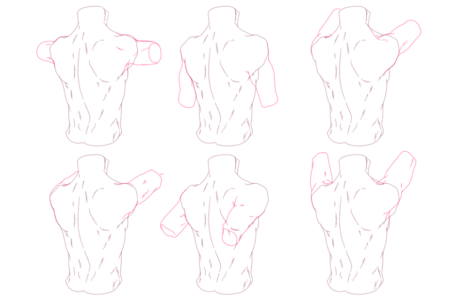 Read Ori's Tips, Tricks, and Tutorials :: Anatomy reference #7 ...
