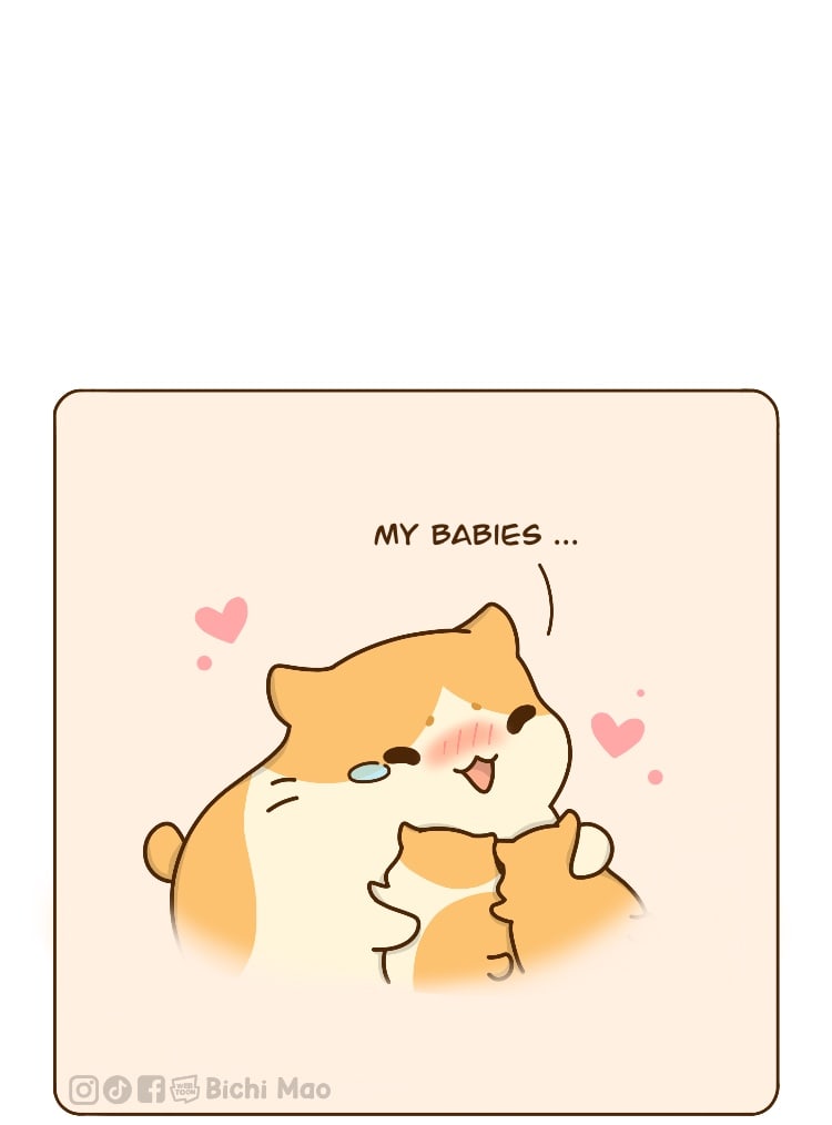Read Bichi Mao :: My Baby (FINAL Part) | Tapas Comics