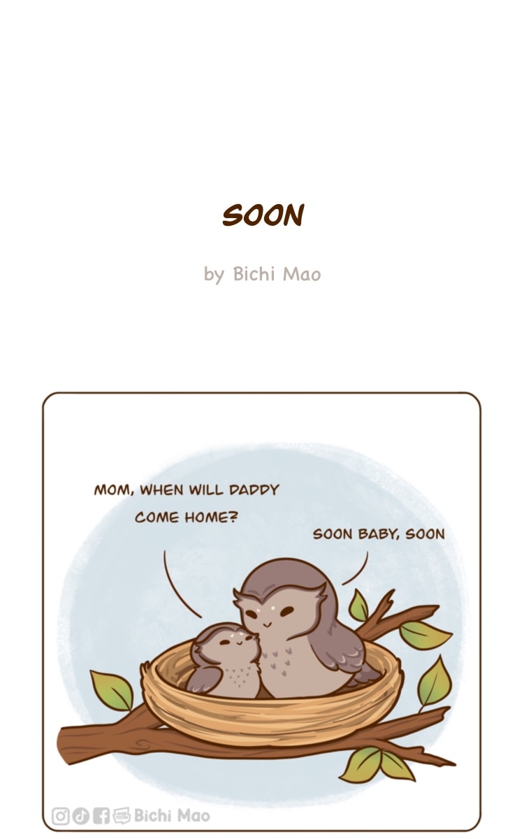 Read Bichi Mao :: Soon | Tapas Comics