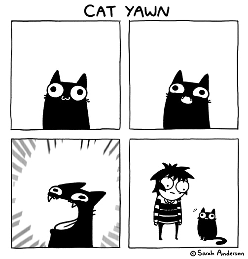 Read Sarah's Scribbles :: Cat Yawn | Tapas Comics