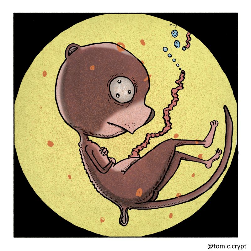 Read Dave Skunk Stash :: Dave's Unsettled | Tapas Comics