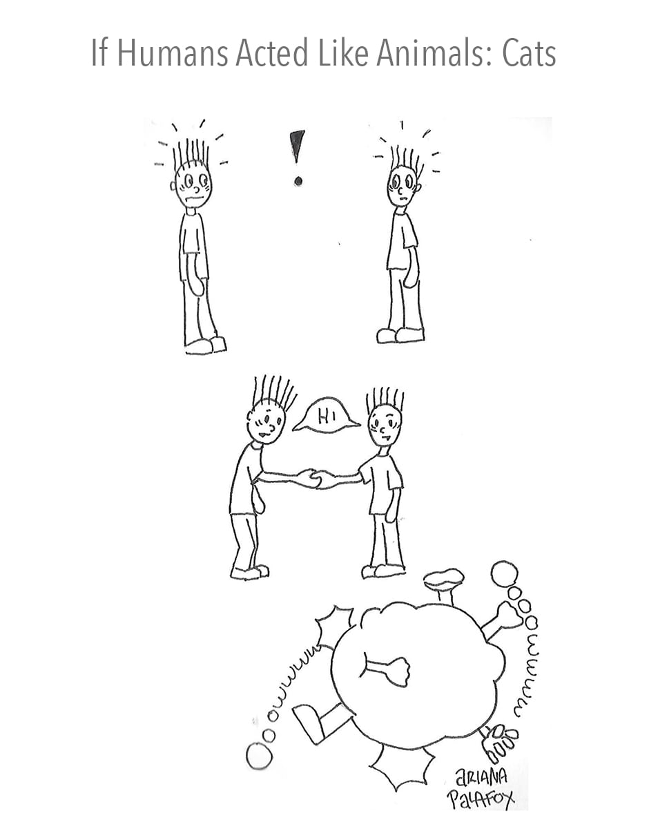 Read If Humans Acted Like Animals :: If Humans Acted Like Animals: Cats ...