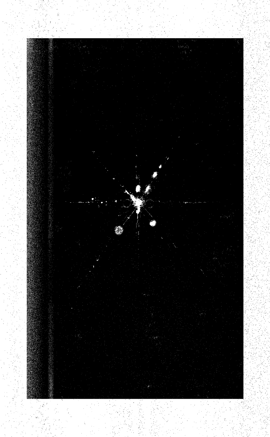 Read Zeta Reticulans :: Walking off a Nightmare | Tapas Comics