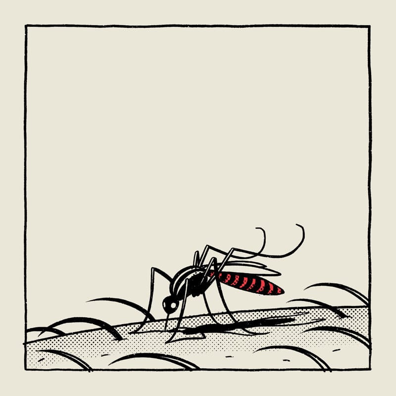 Read 4 Panel Horror :: Mosquito | Tapas Comics