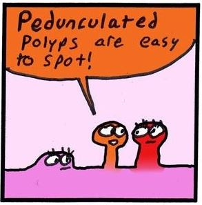 Read QuickDraw :: Polly The Polyp - "Stealthy" - Episode 011 | Tapas Comics