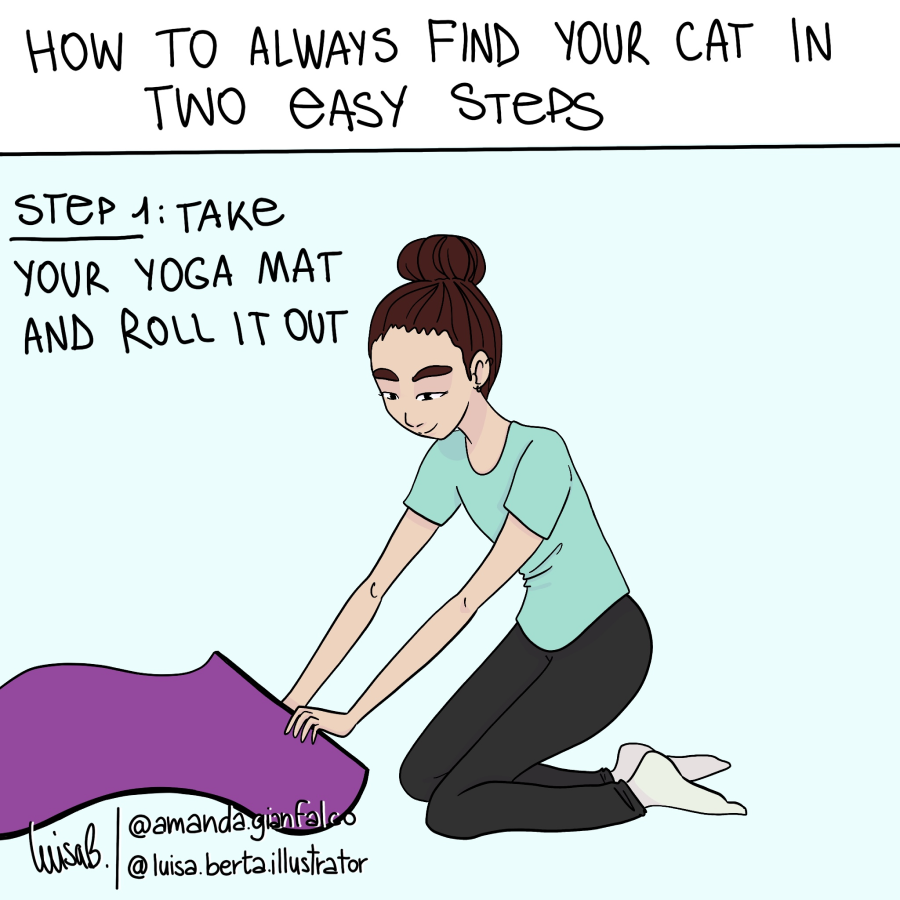Read Amanda and Gianfalco :: How to find your cat | Tapas Comics