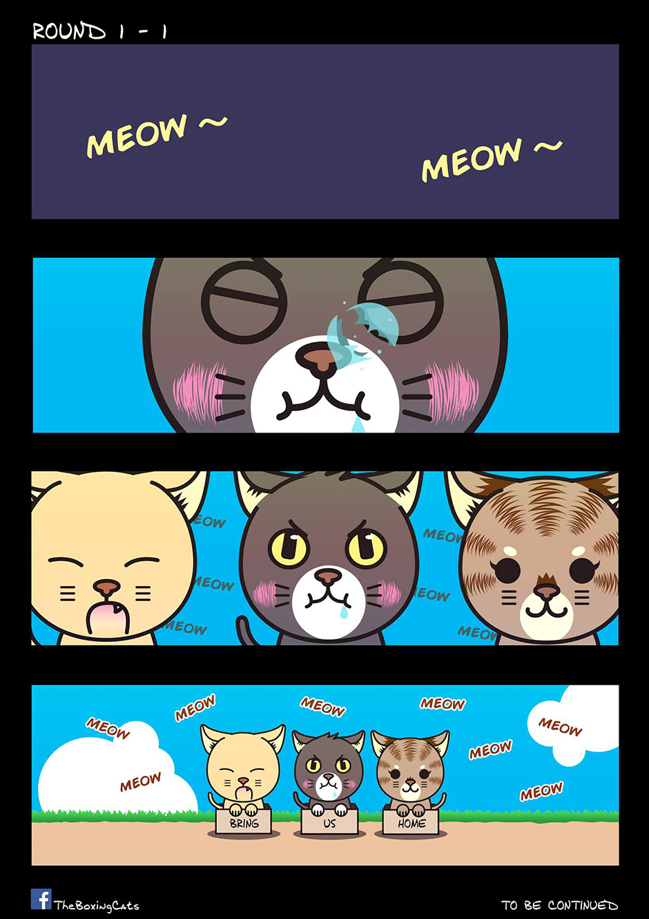 Read The Boxing Cats :: Round 1-1 | Tapas Comics