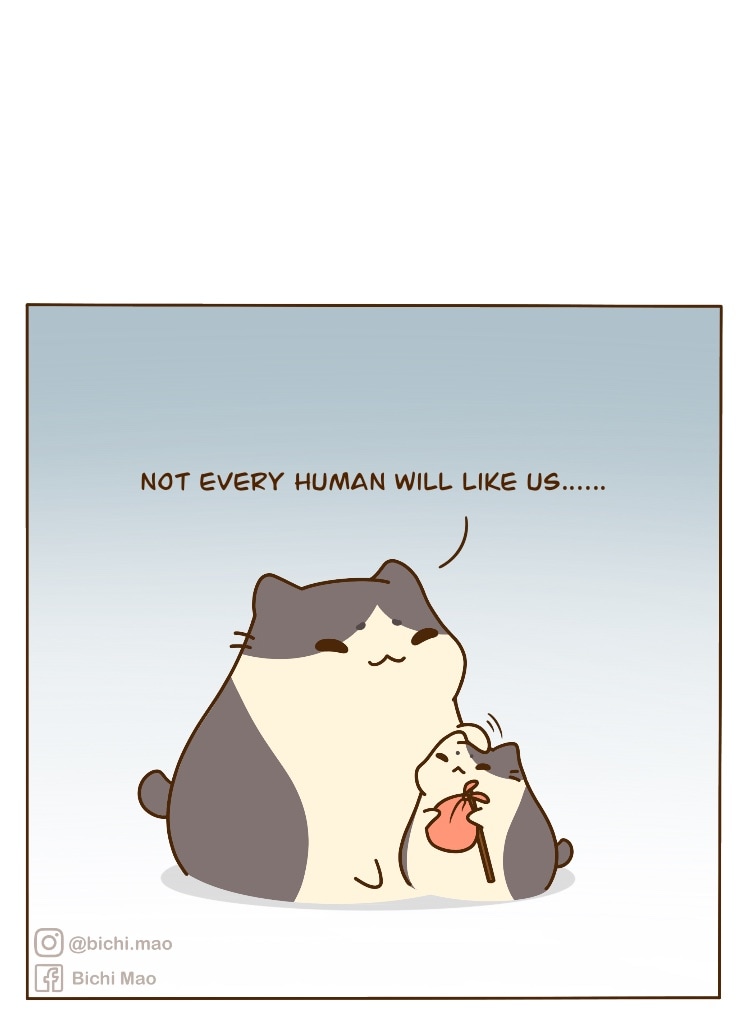 Read Bichi Mao :: Lessons | Tapas Comics