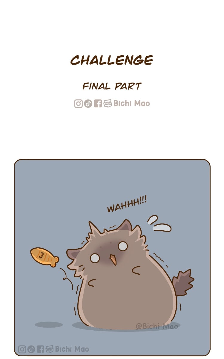 Read Bichi Mao :: Challenge: FINAL PART | Tapas Comics
