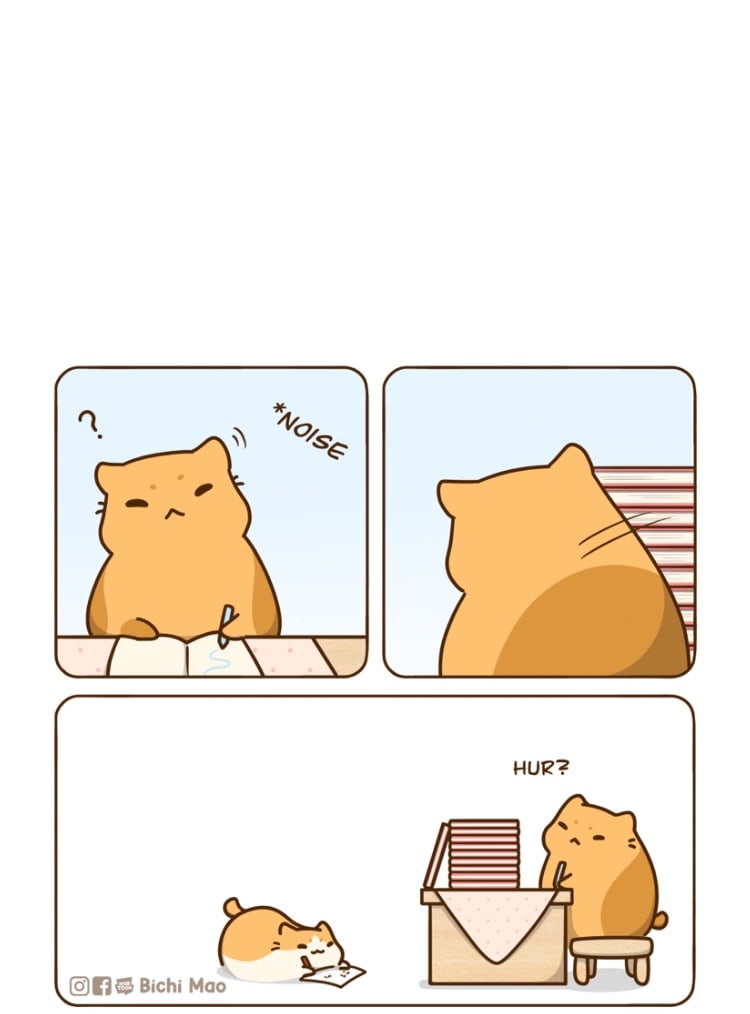 Read Bichi Mao :: My First Book | Tapas Comics