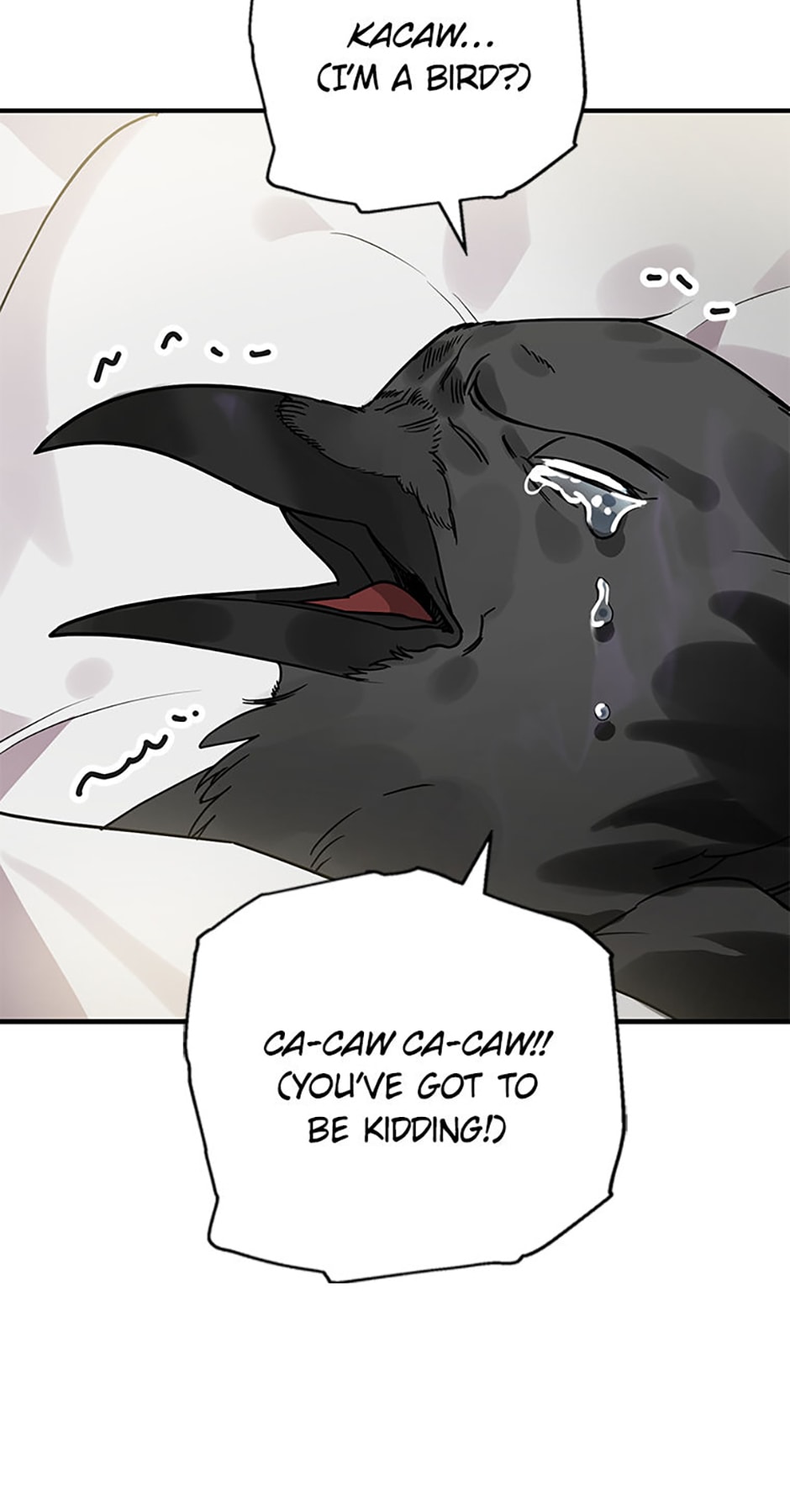 Read The Crow's Prince :: Episode 1 | Tapas Comics