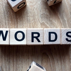 Read The Twins' Mates (A Werewolf Story) :: Words Get In The Way ...